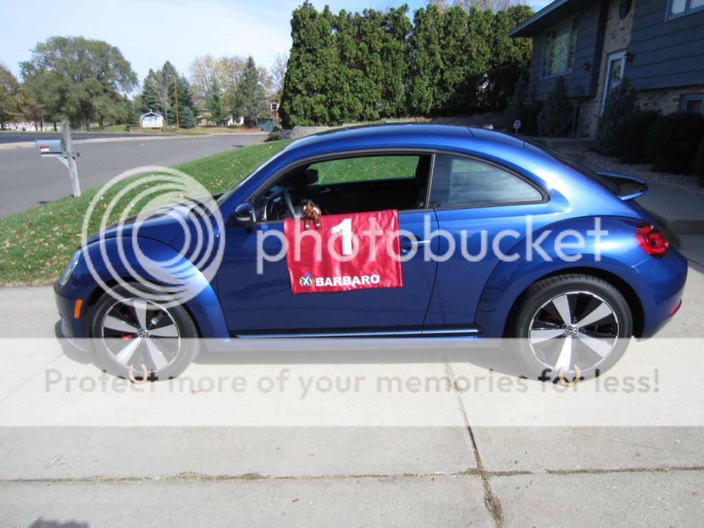 Personalized License Plates | VW Vortex - Volkswagen Forum