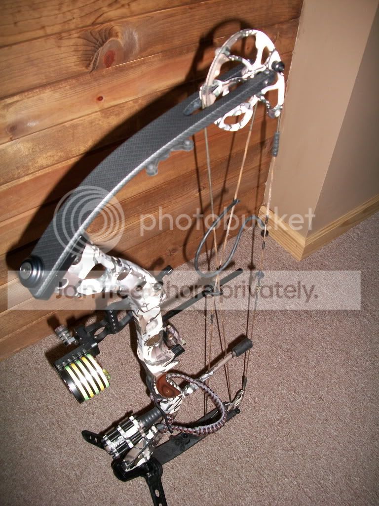 Elite Archery limb decals | Archery Talk Forum