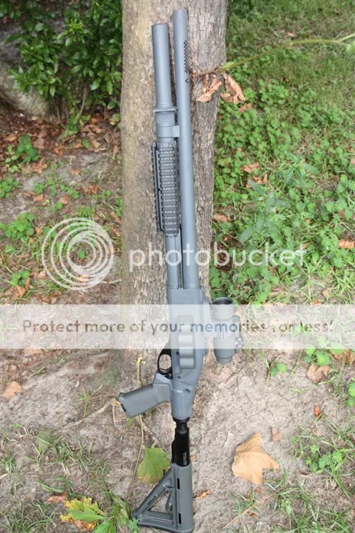 The Shotgun Picture Thread Part 2 > Shotguns > AR15.COM