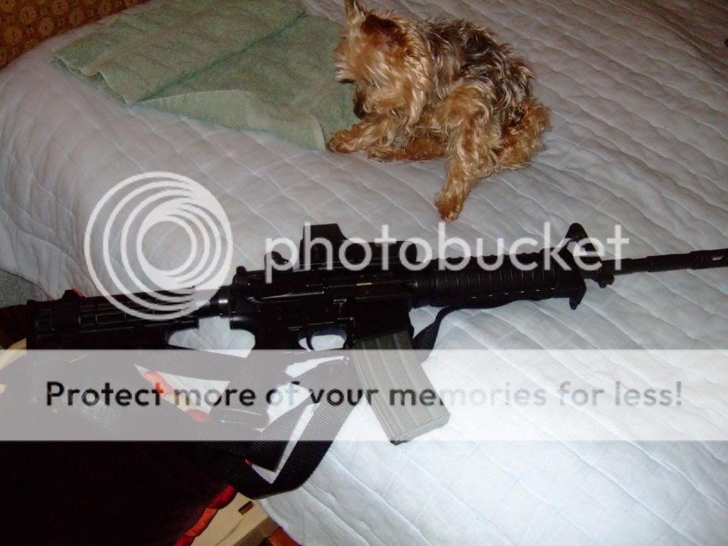 AR-15 Picture Thread | Page 4 | Survival Monkey Forums