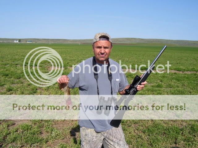 Oregon Sage Rat Hunt | Rimfire Central Firearm Forum